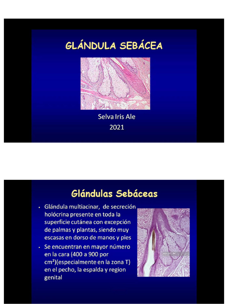 BIOLOGIA DE LA PIEL 2 | PDF