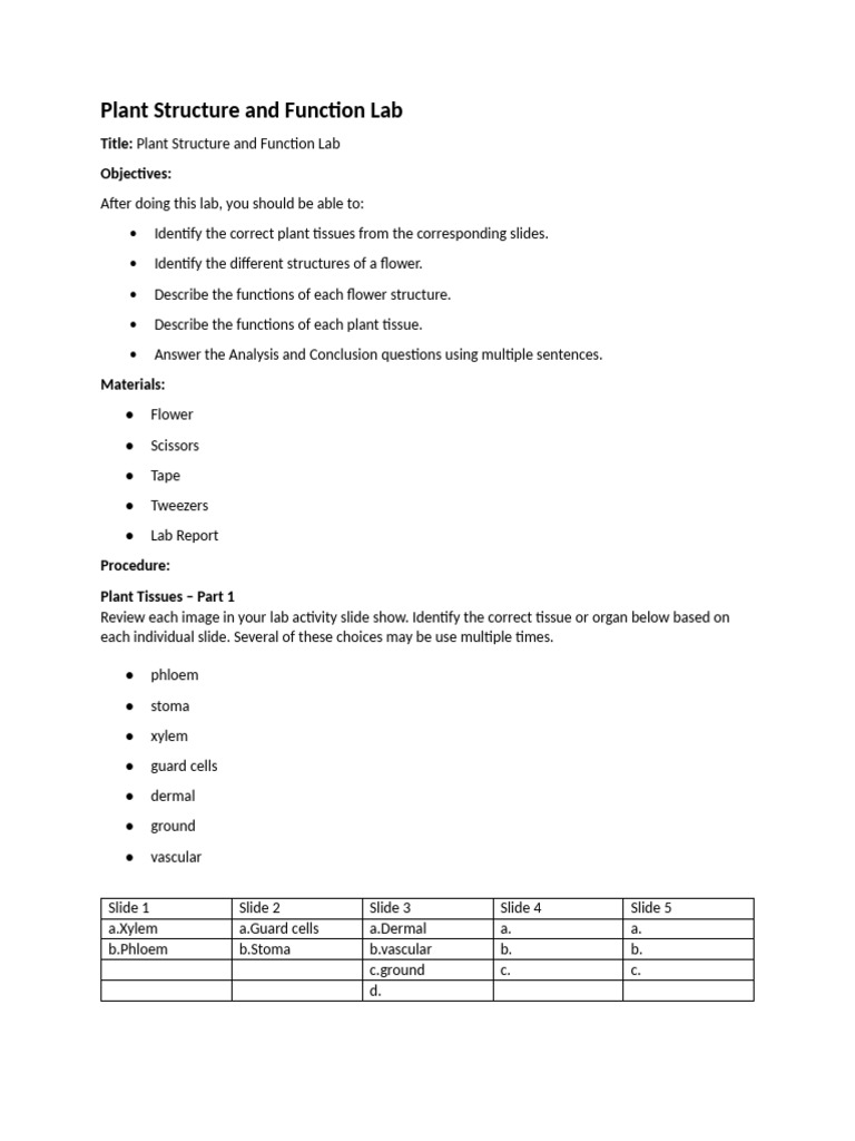 Virtual Plants Lab Report | PDF | Flowers | Tissue (Biology)
