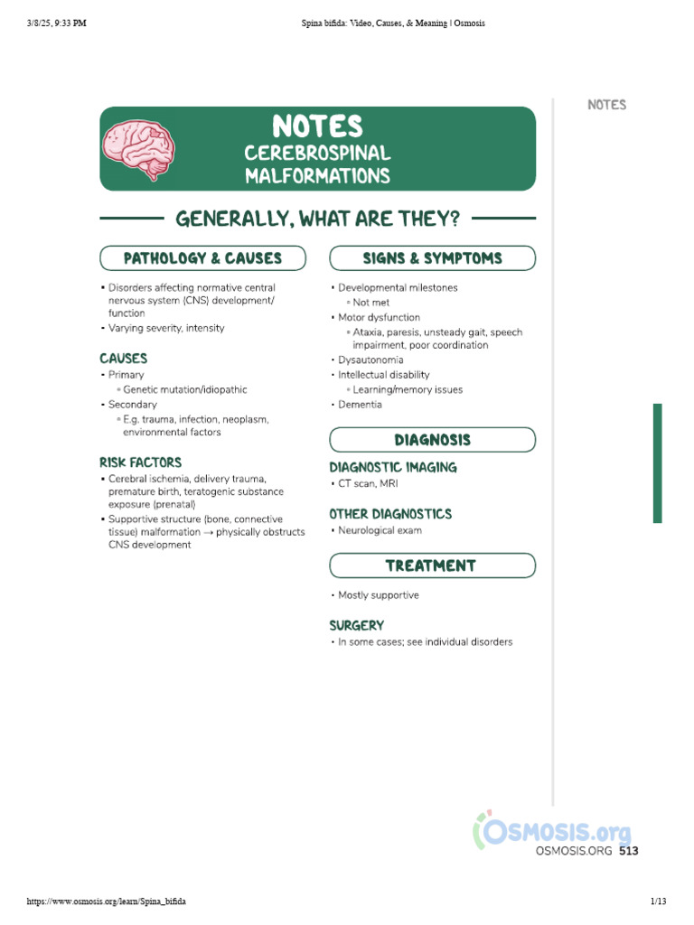 Spina Bifida - Video, Causes, & Meaning - Osmosis | PDF