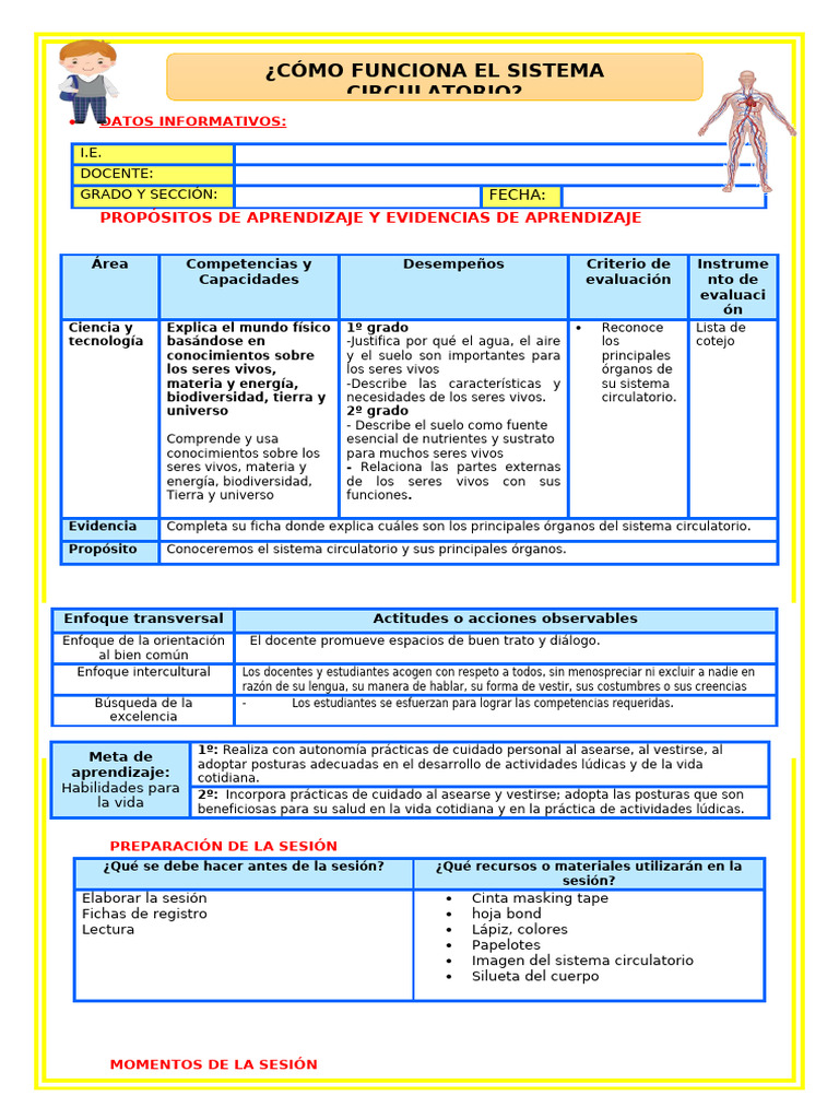 Sesión sobre el Sistema Circulatorio | PDF | Corazón | Sistema circulatorio
