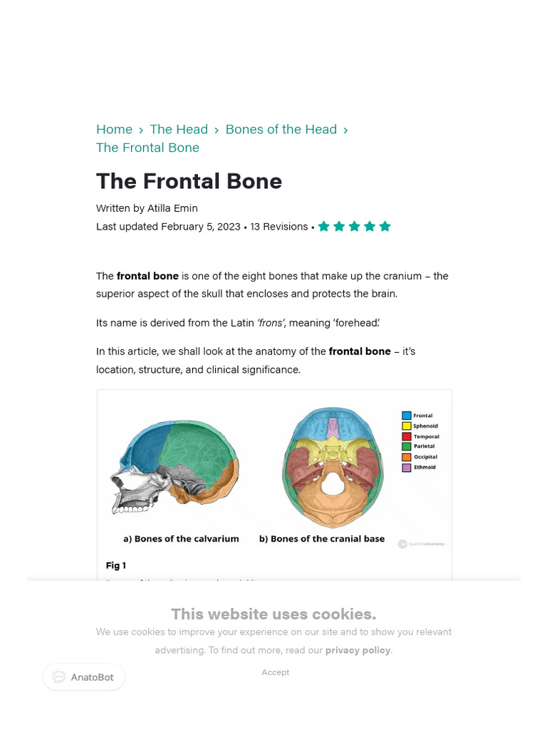 Anatomy and Articulations of Frontal Bone | PDF | Skull | Primate Anatomy
