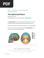 Ethmoid Bone - Location - Structure - Relationships - TeachMeAnatomy | PDF | Human Nose | Human ...