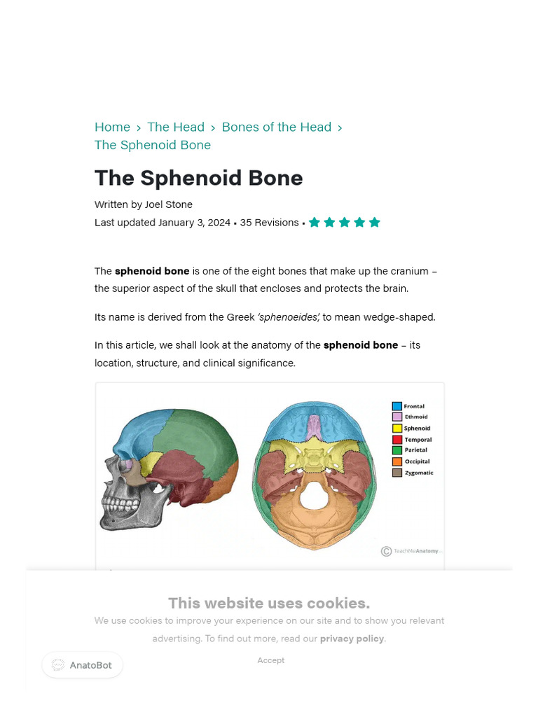 Sphenoid Bone - Location - Structure - Function - TeachMeAnatomy | PDF ...