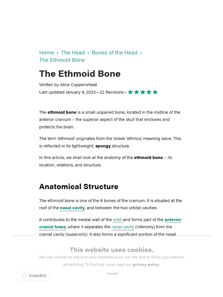 Ethmoid Bone - Location - Structure - Relationships - TeachMeAnatomy ...