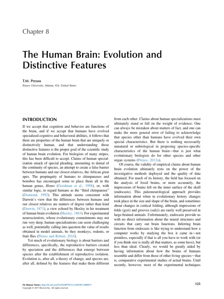 Chapter 8 - The Human Brain Evolution and Distinctive Fe - 2017 - On ...