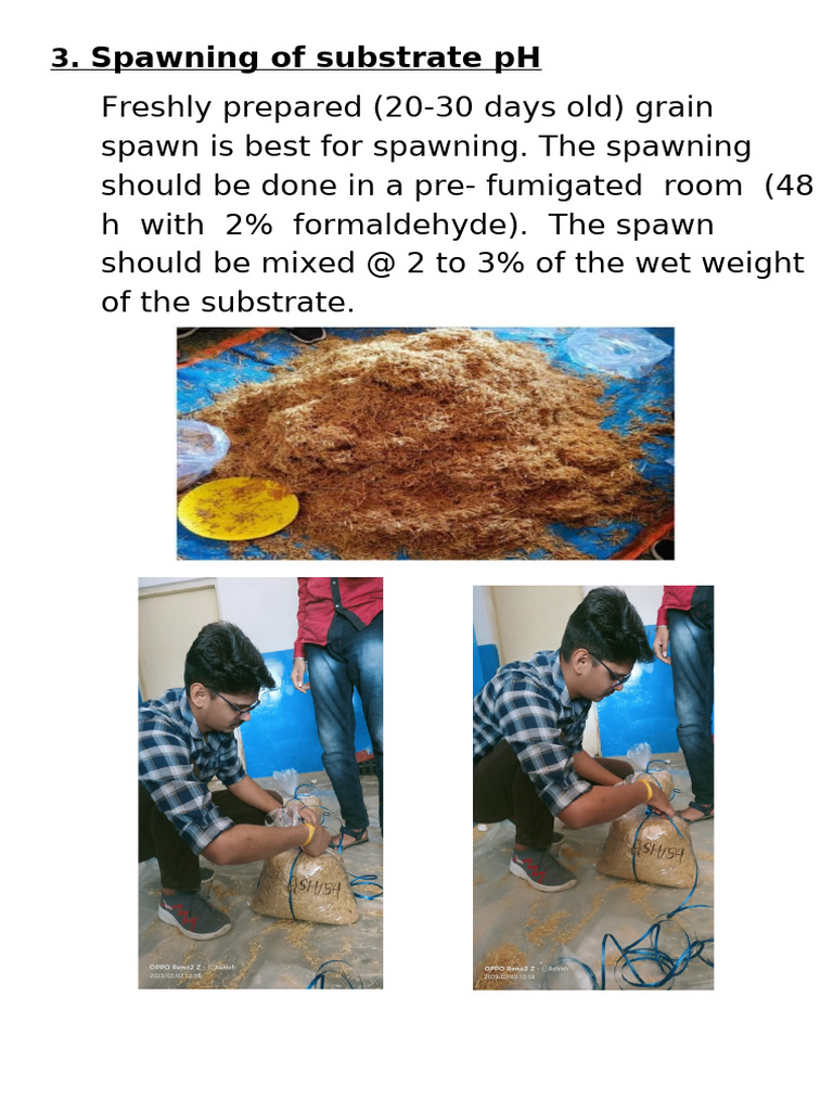 Spawning of Substrate PH | PDF