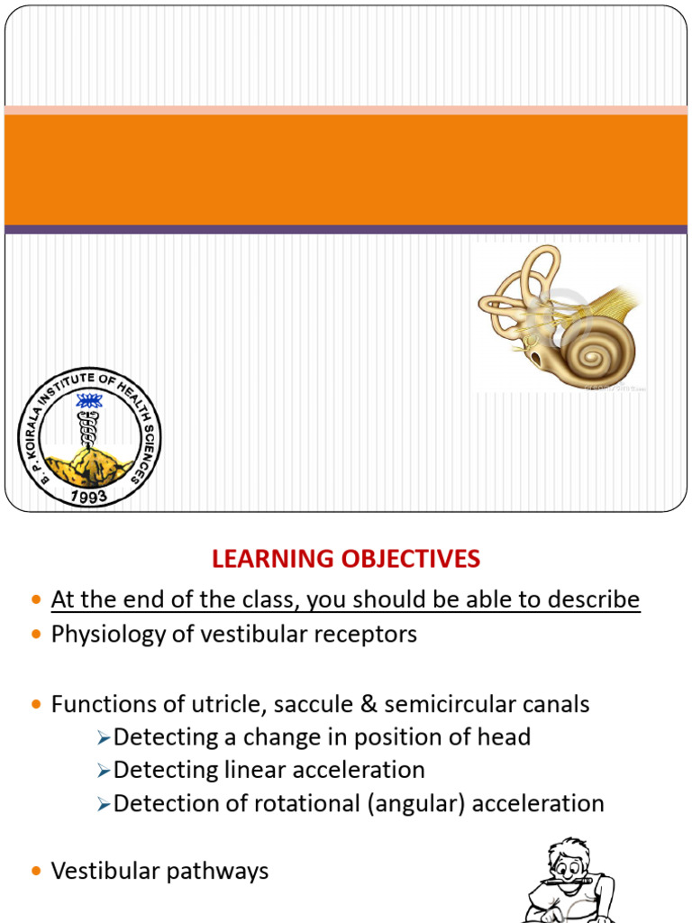 Functions of the Vestibular Apparatus | PDF | Vestibular System | Anatomy