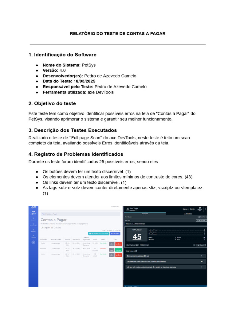 Relatorio Teste ContasAPagar | PDF