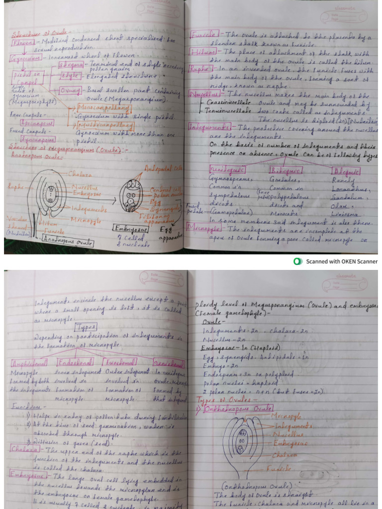 Unit-2 Reproductive Biology | PDF