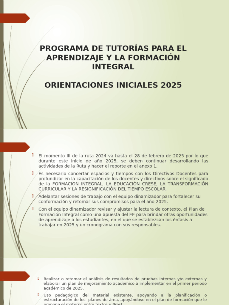 Orientaciones 2025 | PDF | Plan de estudios | Evaluación