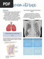 Tórax Tonel, Pectus Carinatum e Pectus Exacavatum | PDF | Doença de ...