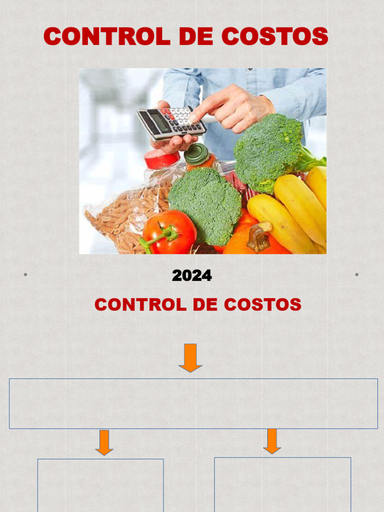 Control de Costos 24 | PDF | Presupuesto