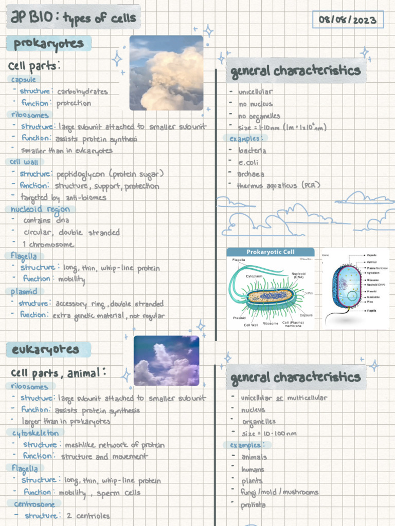 Types of Cells: Prokaryotes & Eukaryotes | PDF | Cell (Biology ...