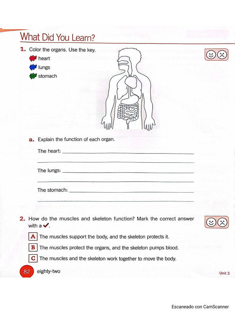 Unidad 3 science | PDF