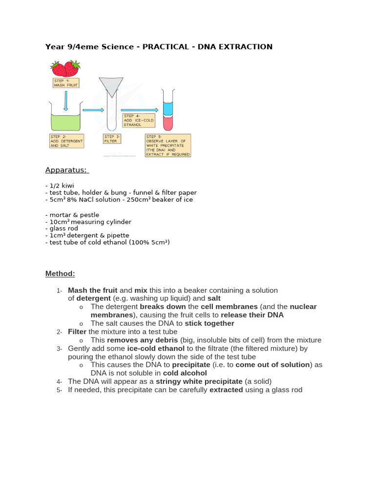 Practical DNA Extraction | PDF