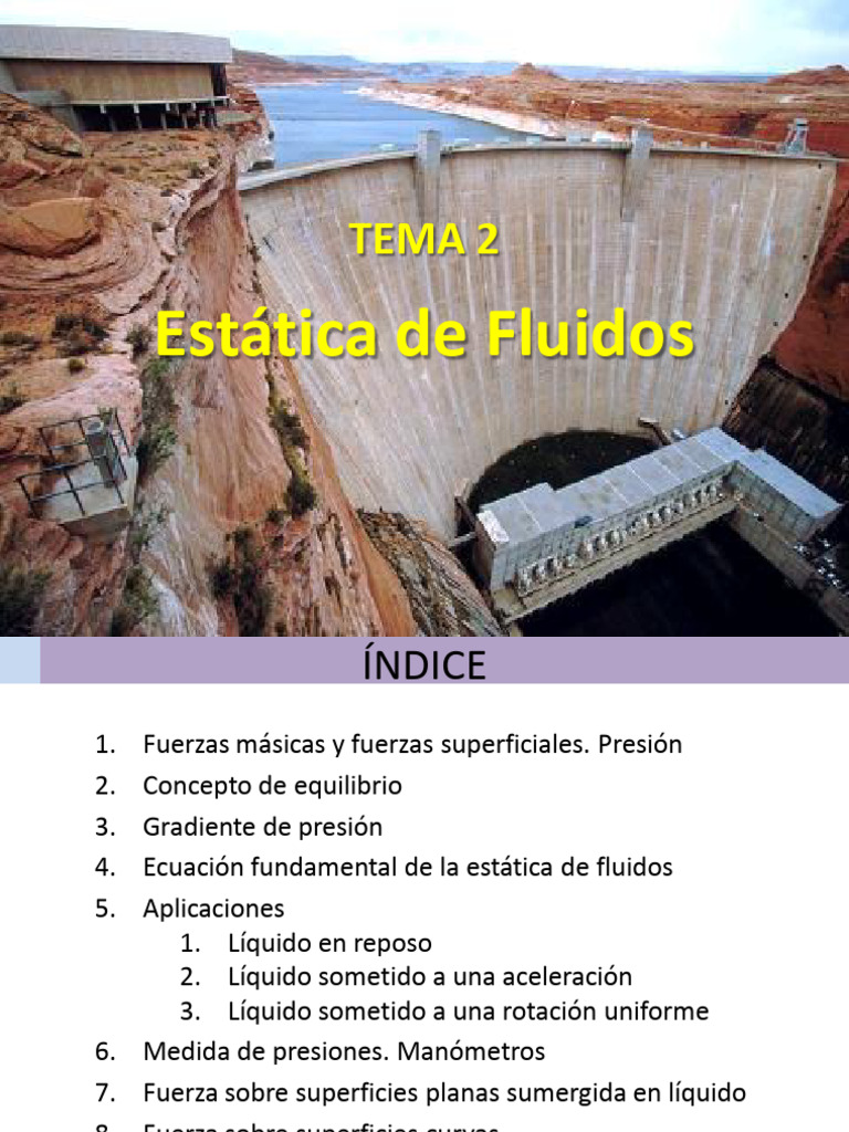 Estática de Fluidos | PDF | Fuerza | Presión