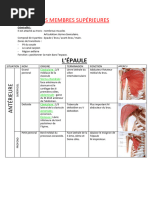 Angiologie Systeme Vasculaire Du Membre Superieur | PDF | Main ...
