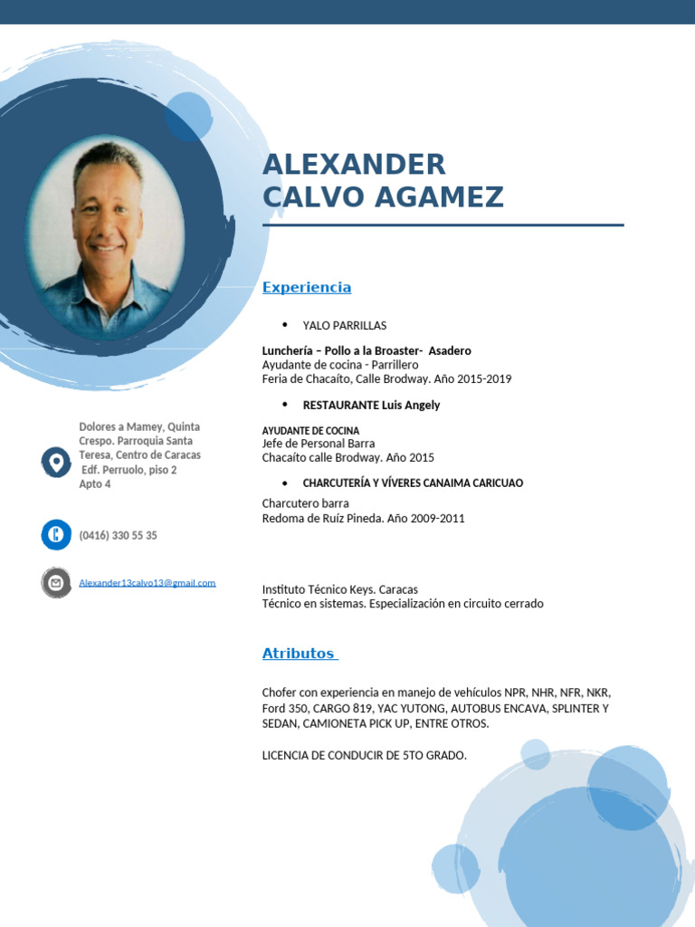 Curriculum ALEXANDER | PDF