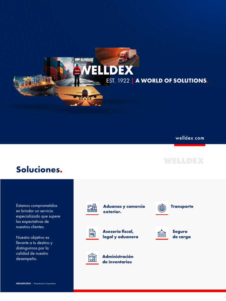 Presentación Welldex Global 2024 | PDF | aduana | Business