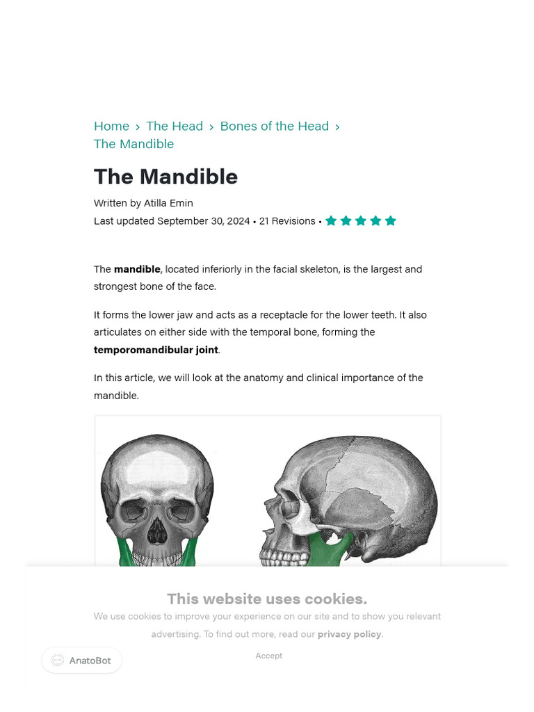 The Mandible - Structure - Attachments - Fractures - TeachMeAnatomy | PDF | Musculoskeletal ...