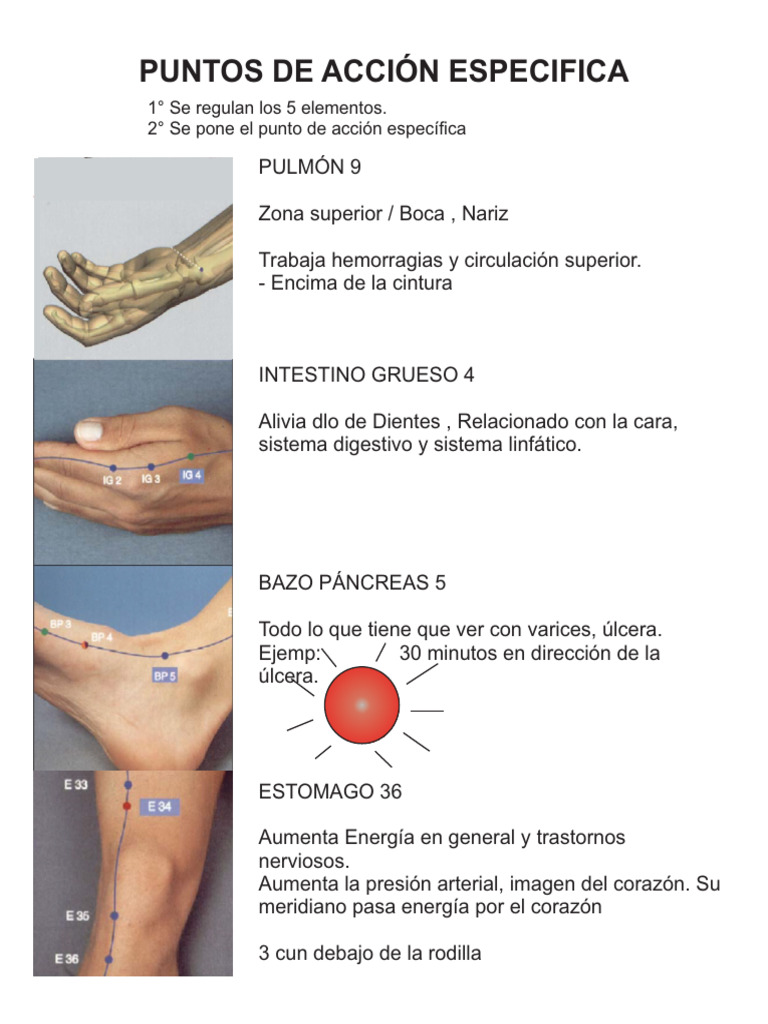 Acupuntura - Puntos de Acción Específica | PDF | Sistema digestivo ...