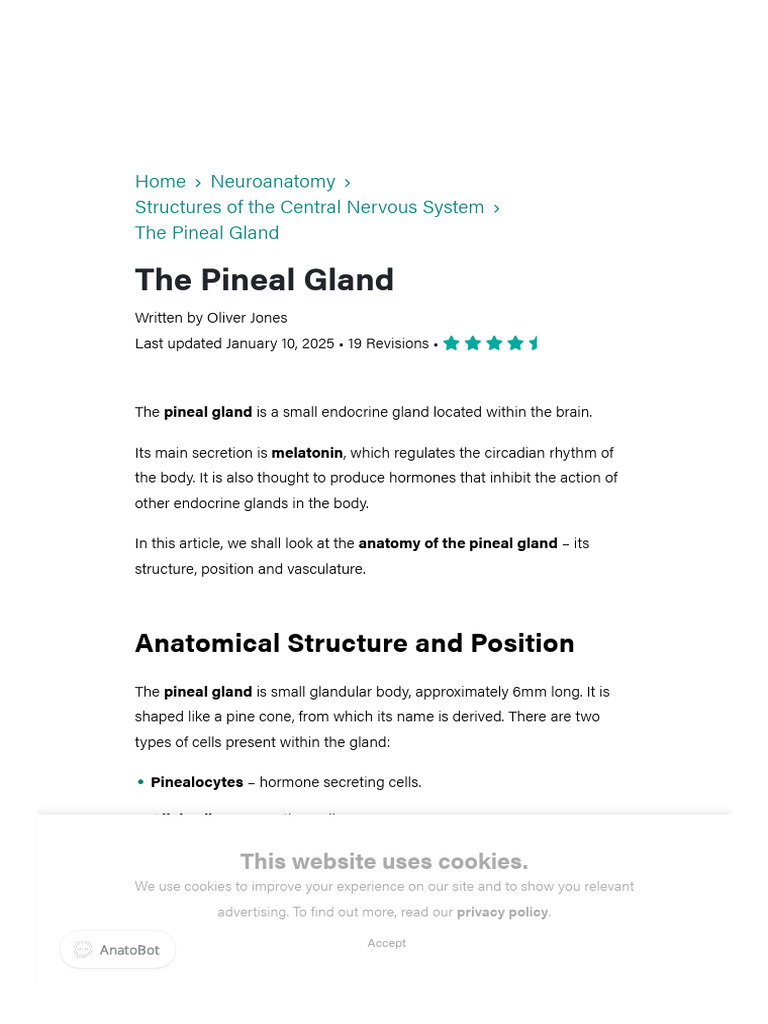 The Pineal Gland - Structure - Vasculature - TeachMeAnatomy | PDF ...