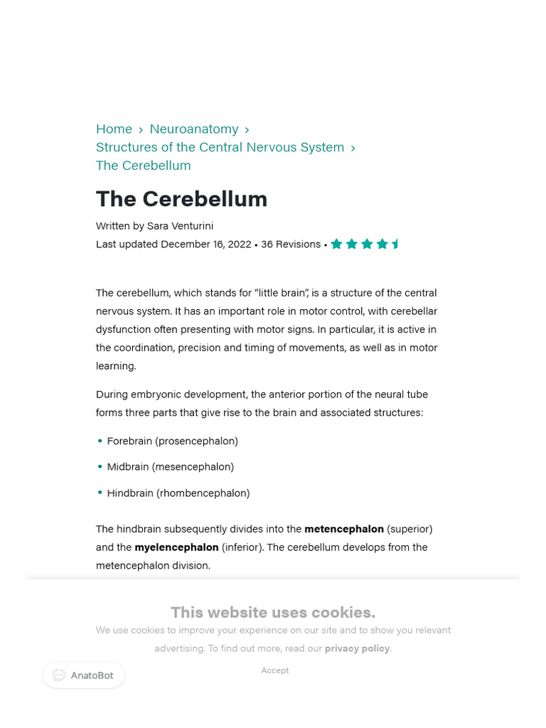 The Cerebellum - Structure - Position - Vasculature - TeachMeAnatomy ...