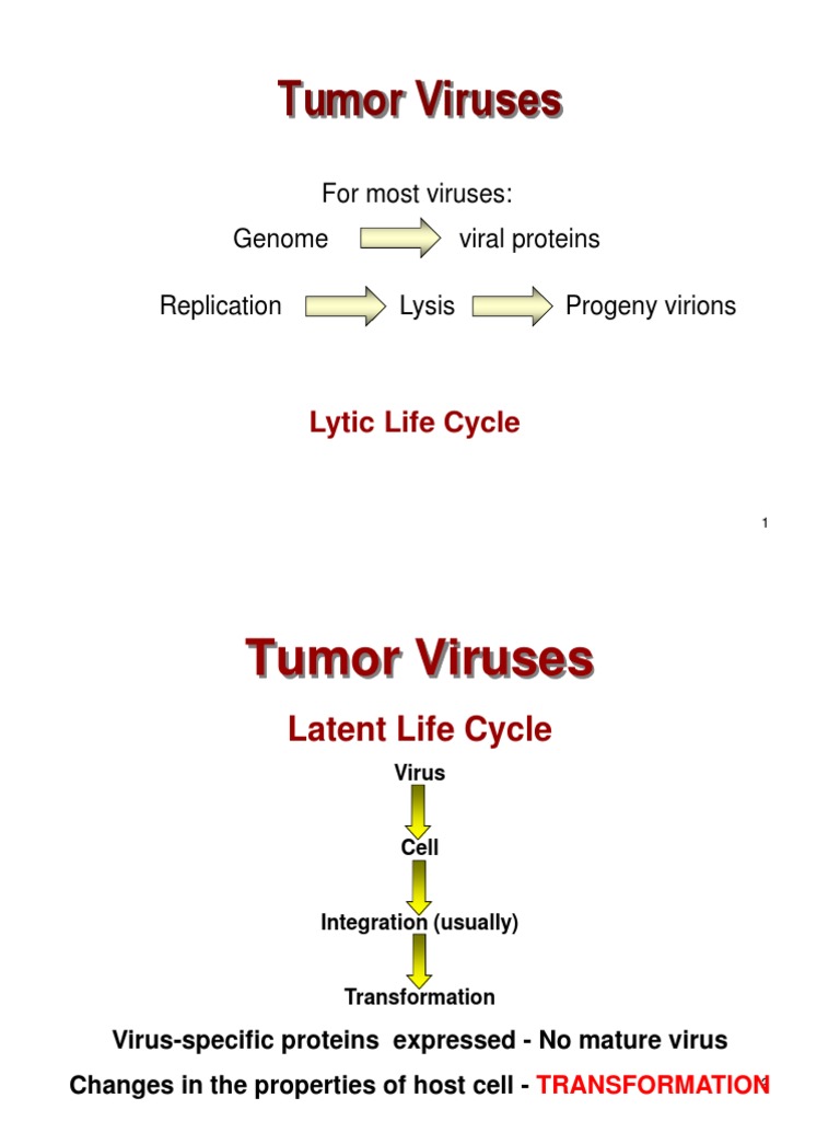Retro | PDF | Retrovirus | Reverse Transcriptase