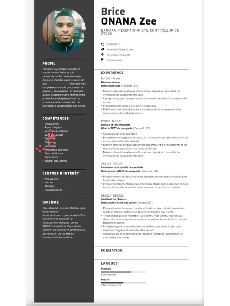 CV ONANA ZEE | PDF