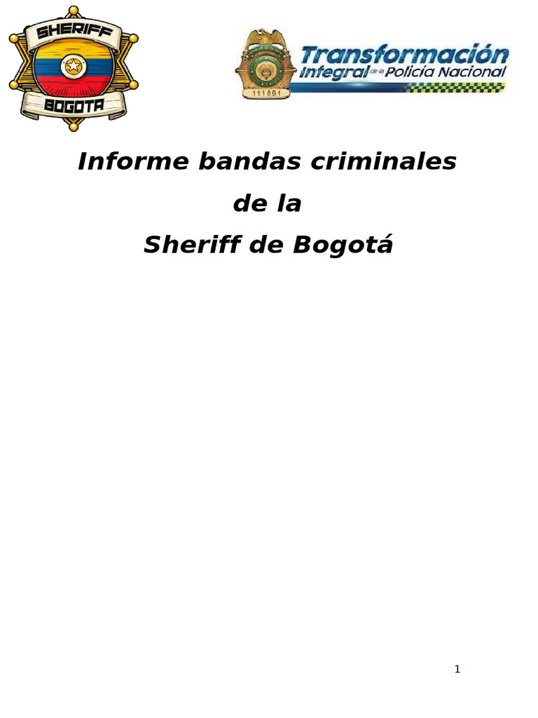 Plantilla Informe Sheriff | PDF
