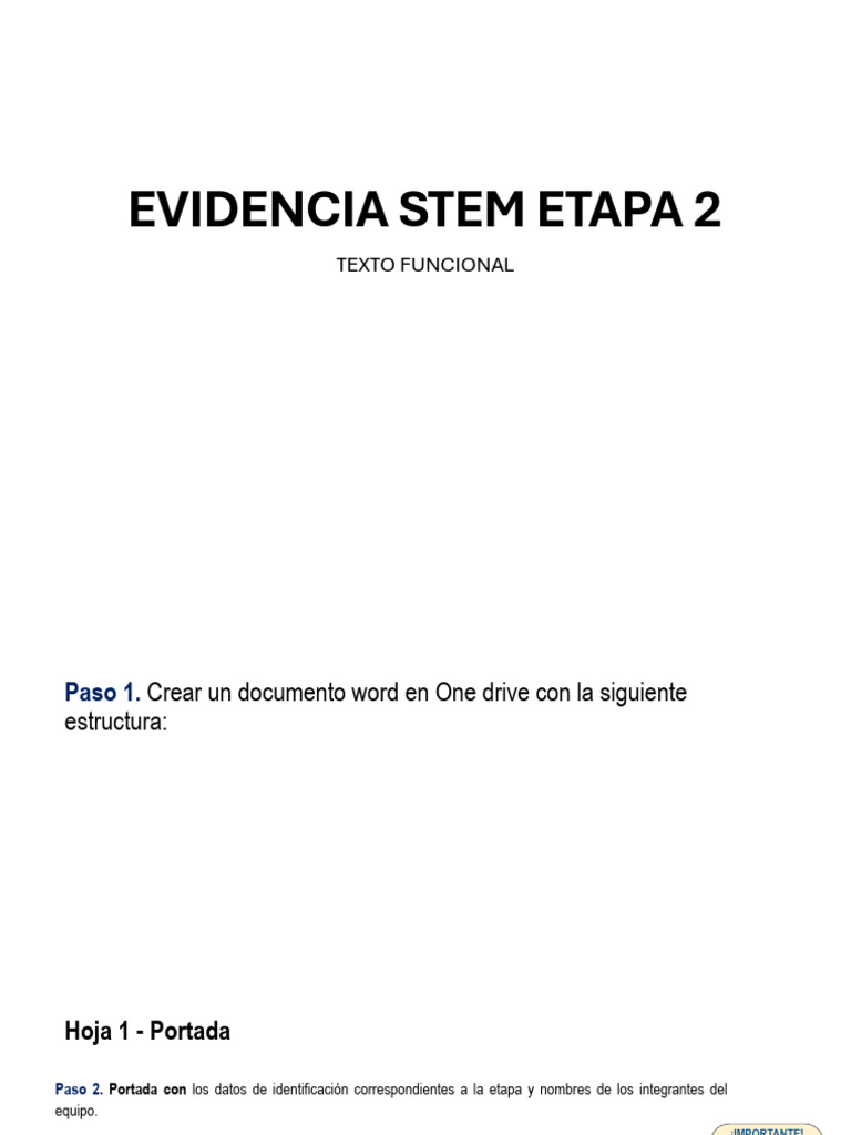 Tutorial Evidencia Stem Etapa 2 Ej2025 | PDF | Archivo de computadora | Microsoft Word