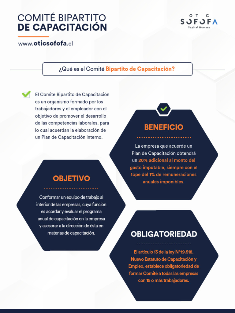 Comite Bipartito Capacitacion | PDF | Sindicato | Votación