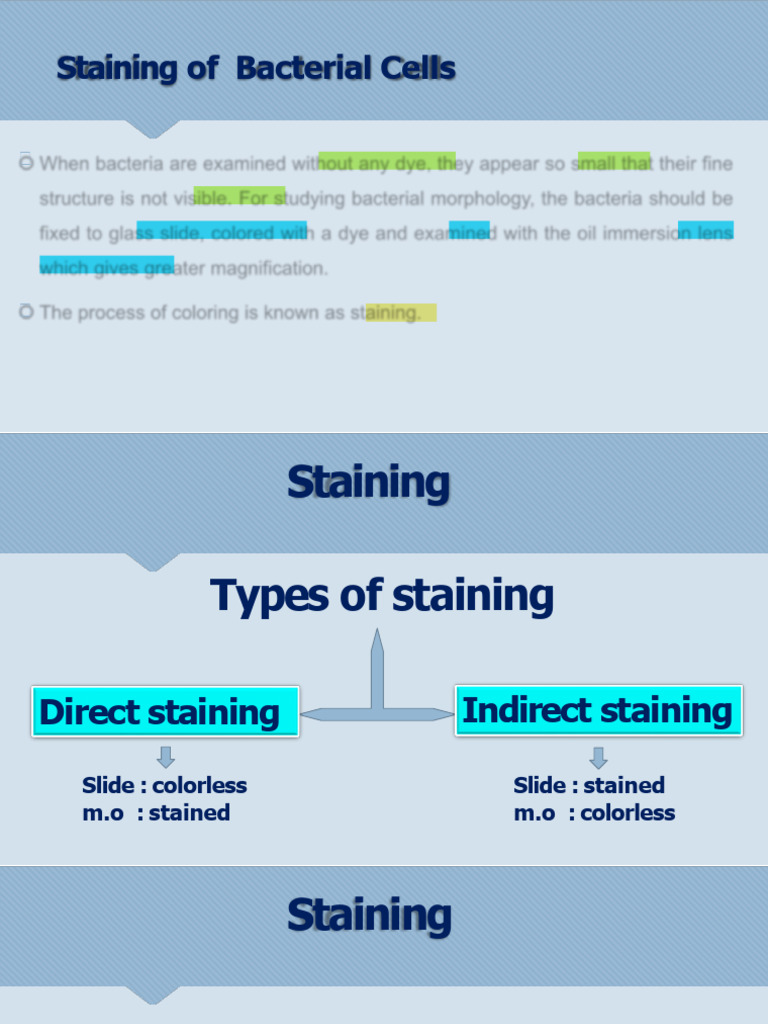 Bacterial Cell Staining Techniques | PDF | Staining | Dye