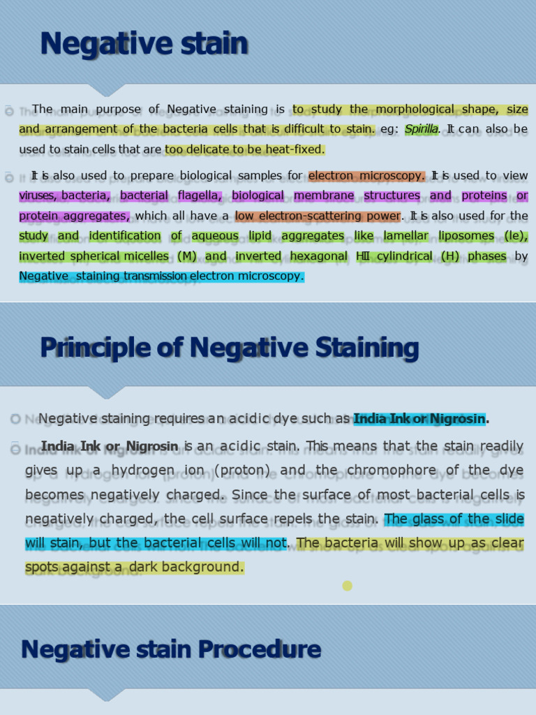Lab 4 General Micro Practical - Negative Staining | PDF