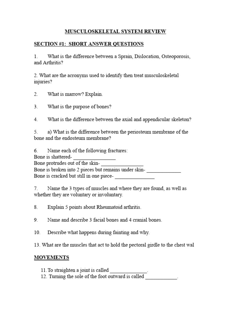 Musculoskeletal System Overview and Quiz | PDF | Human Leg | Arm