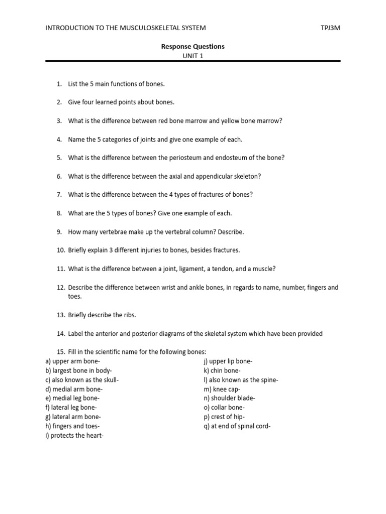 1.3 Homework - Introduction To Musculoskeletal System Worksheet | PDF ...