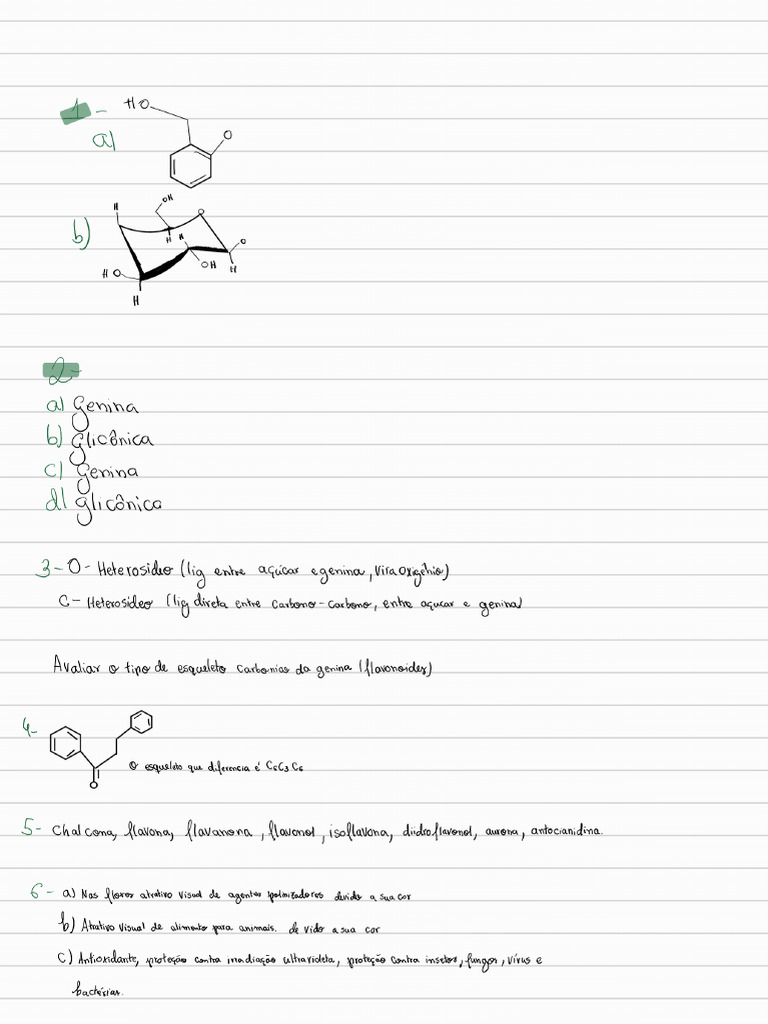 Exercicios heterosídeos e flavonoides_250204_220422 | PDF