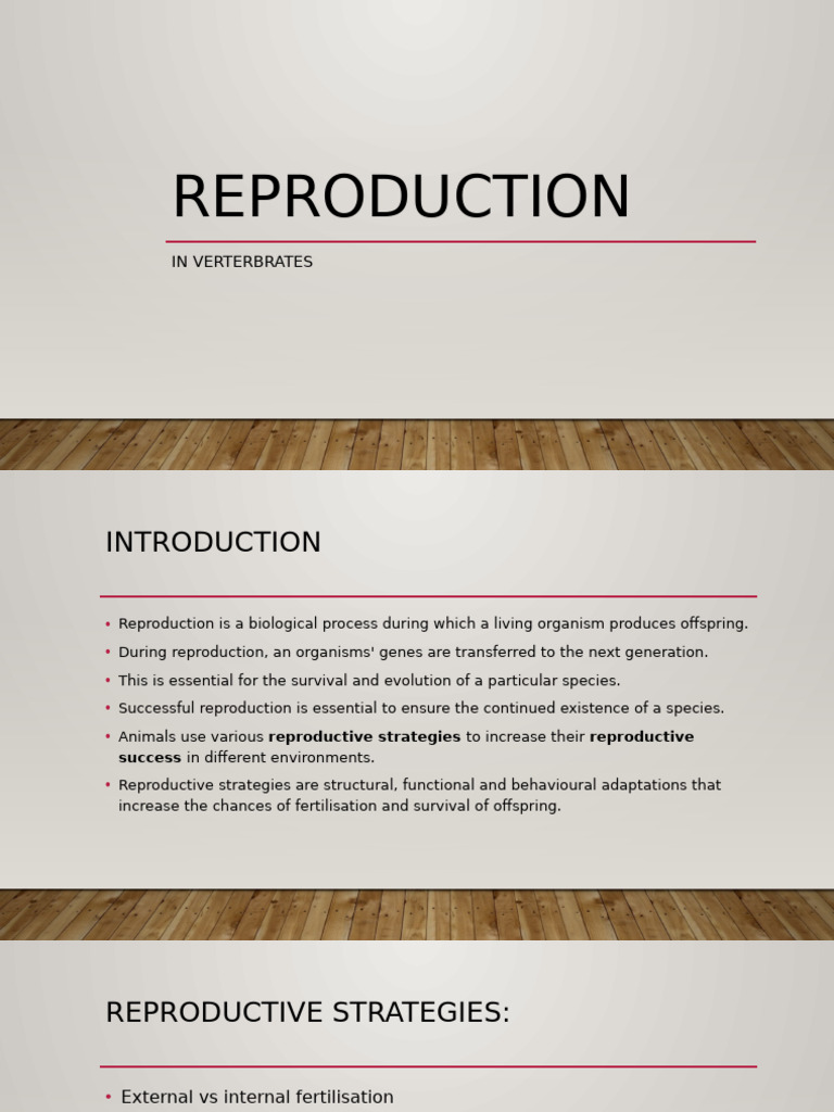 Reproduction in Vertebrates | PDF | Fertilisation | Egg
