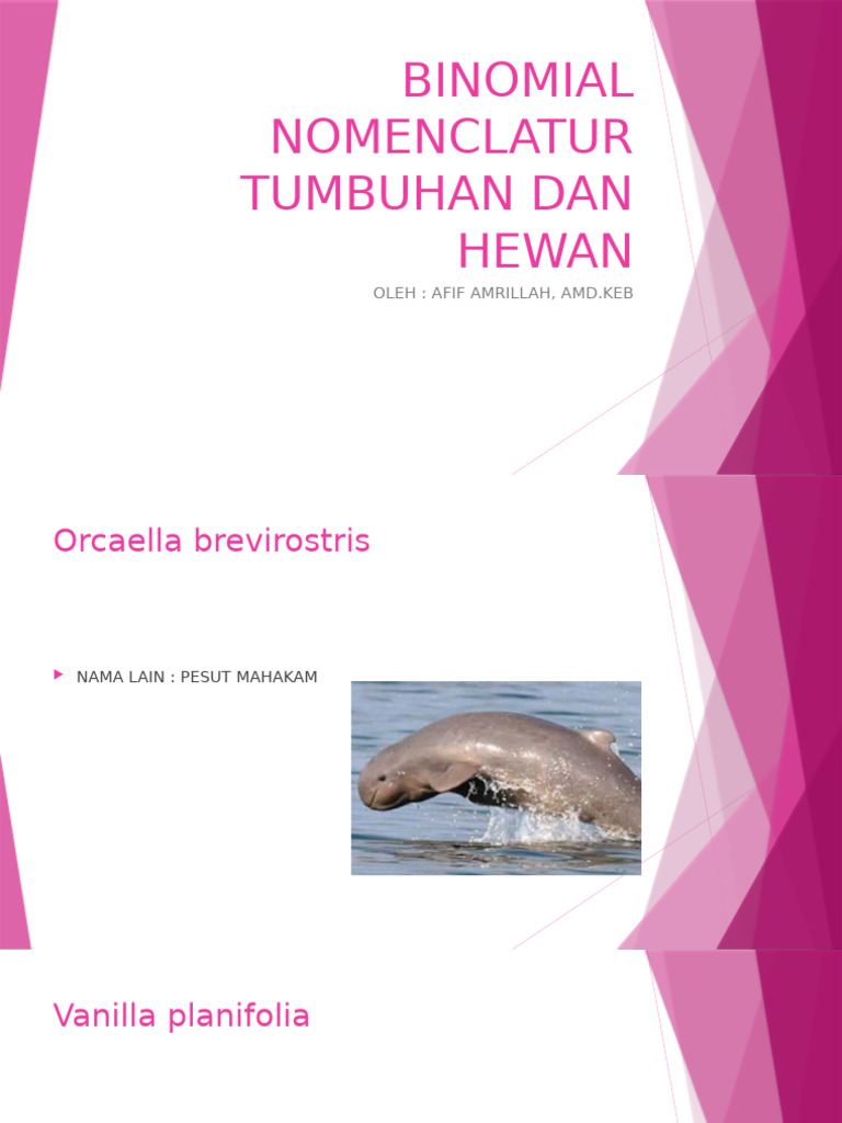 BINOMIAL NOMENCLATUR TUMBUHAN DAN HEWAN | PDF