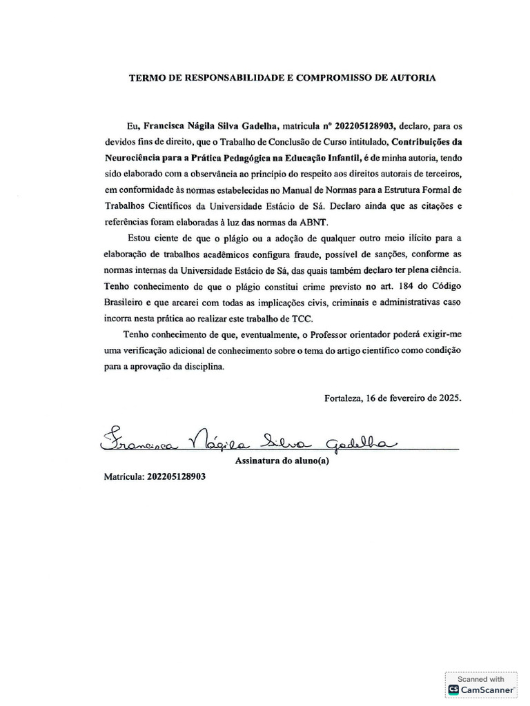 Meu Tcc Pedagogia Pronto Pdf Aprendizado Pedagogia