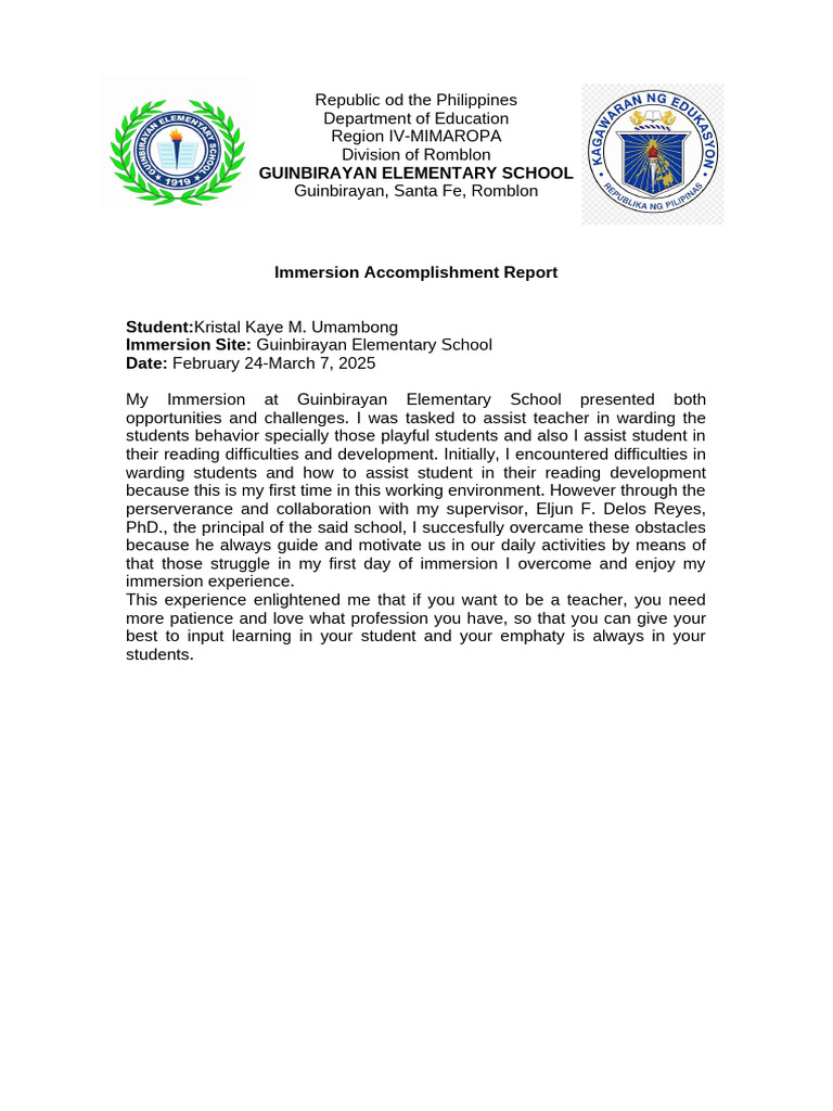 Immersion Accomplishment Report2 | PDF