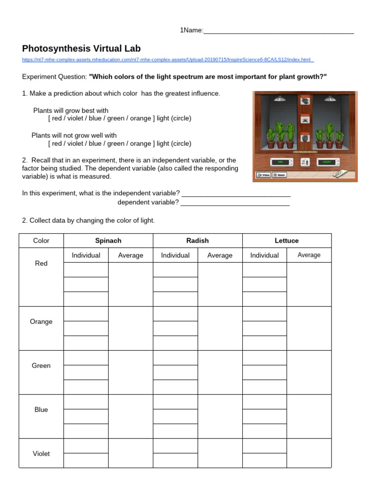 Photosynthesis Simulation | PDF