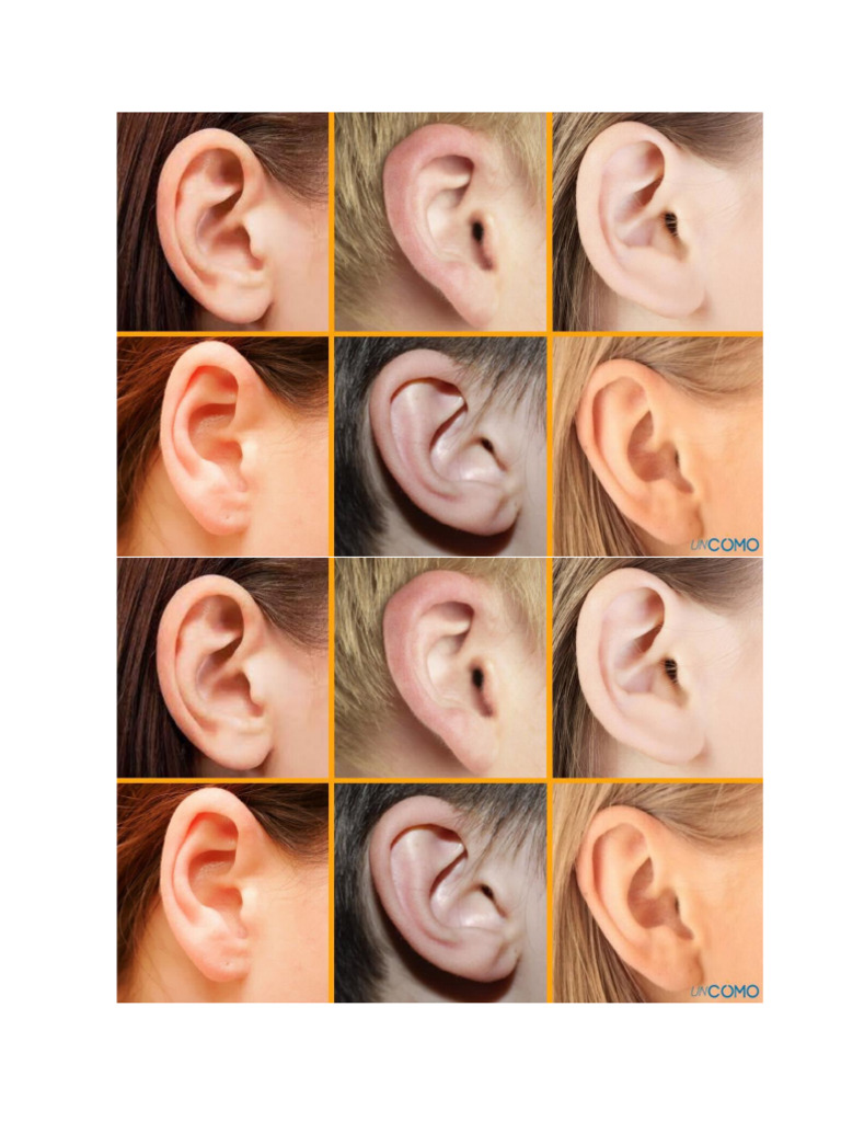 orejas humanas | PDF