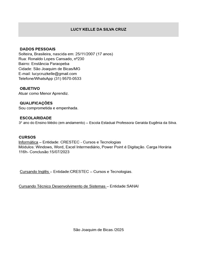 DOC Currículo 2023 Lucy | PDF