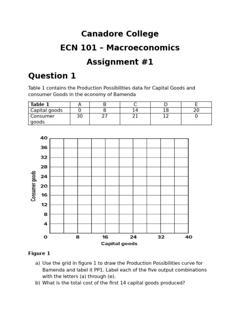 Macroeconomics Assignment on Production Possibilities | PDF | Economic ...