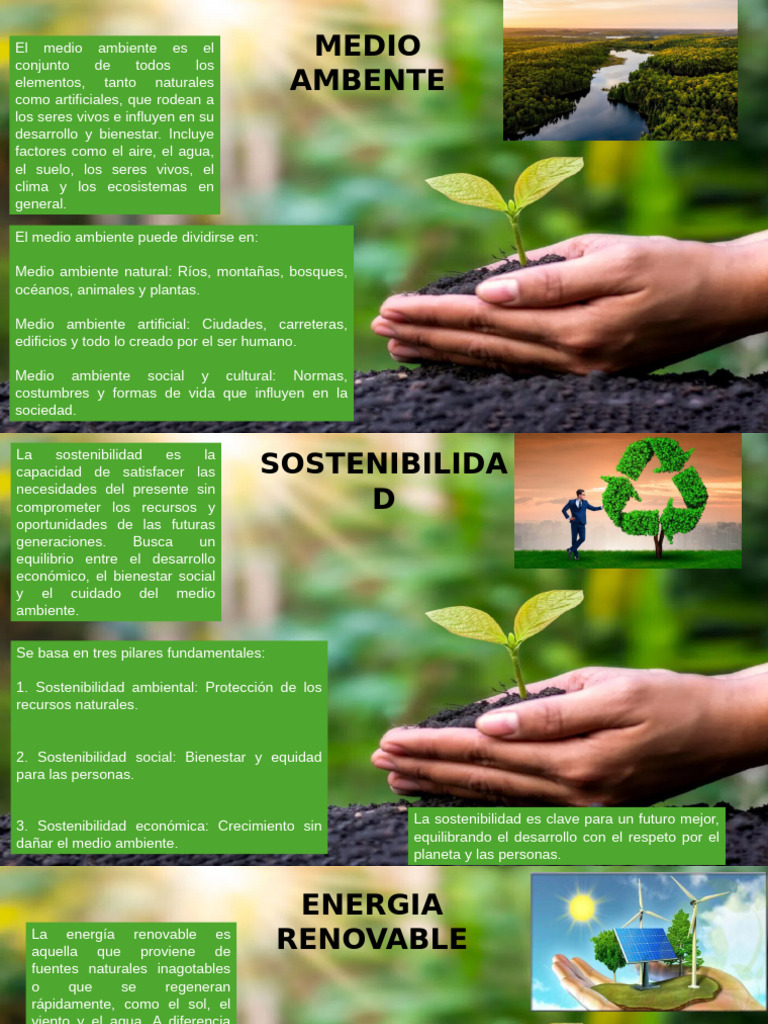 Fichas Ecologia Roni | PDF | Reciclaje | Contaminación