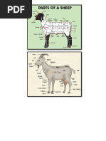 Official List of Breed Codes For Bovine: Beef Breeds | PDF | Livestock | Mammal Breeds