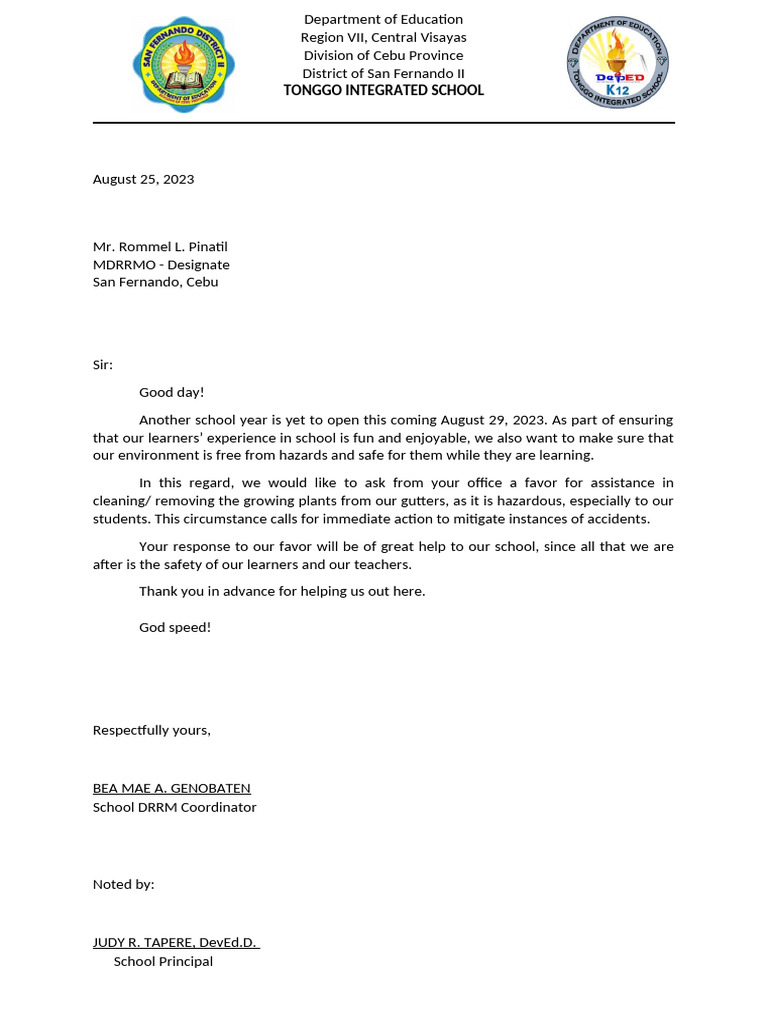 Request Letter For MDRRMO | PDF