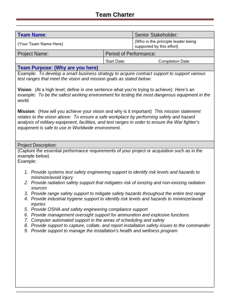 Team Charter Template #02 | PDF | Safety | Evaluation
