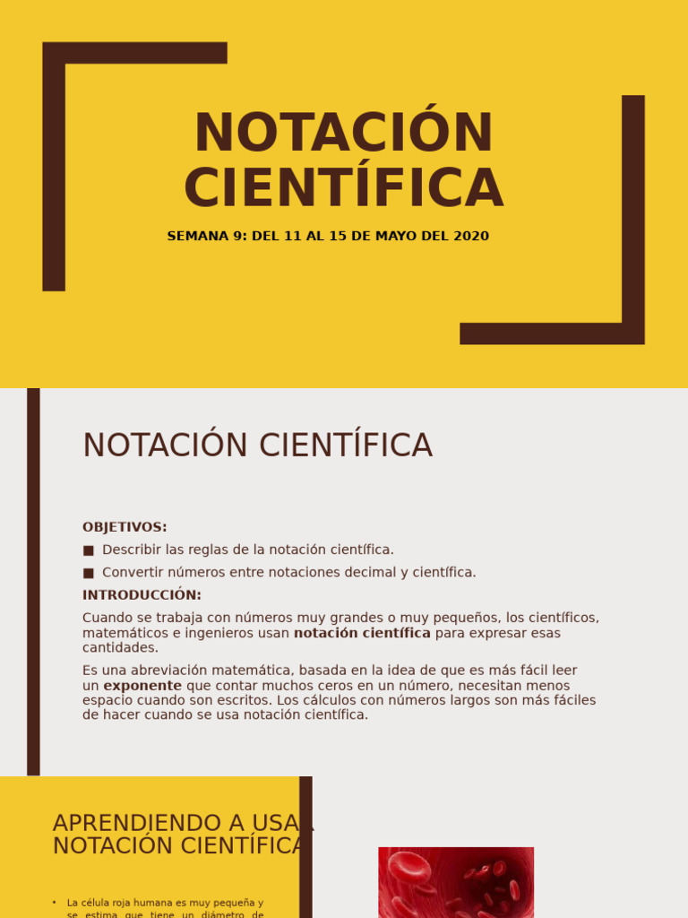 Guía de Notación Científica y Ejercicios | PDF | Números | Aritmética